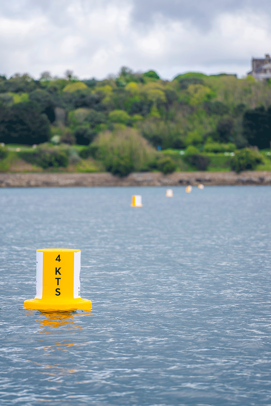 Renewables giant Ørsted and Ocean Conservation Trust join forces on new ...