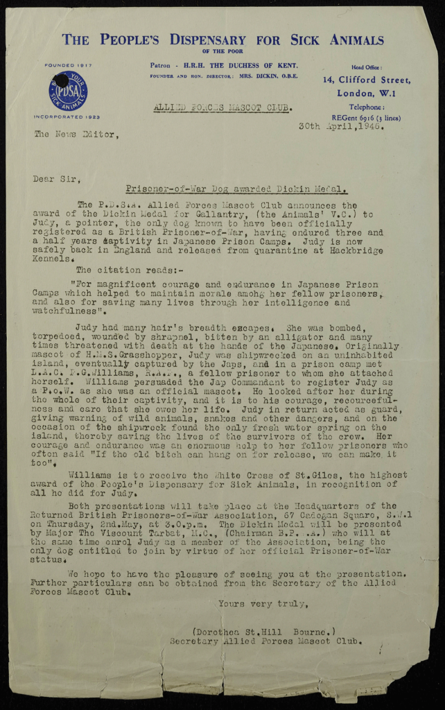 Chance discovery of “animal VC” announcement for Britain’s only POW dog ...