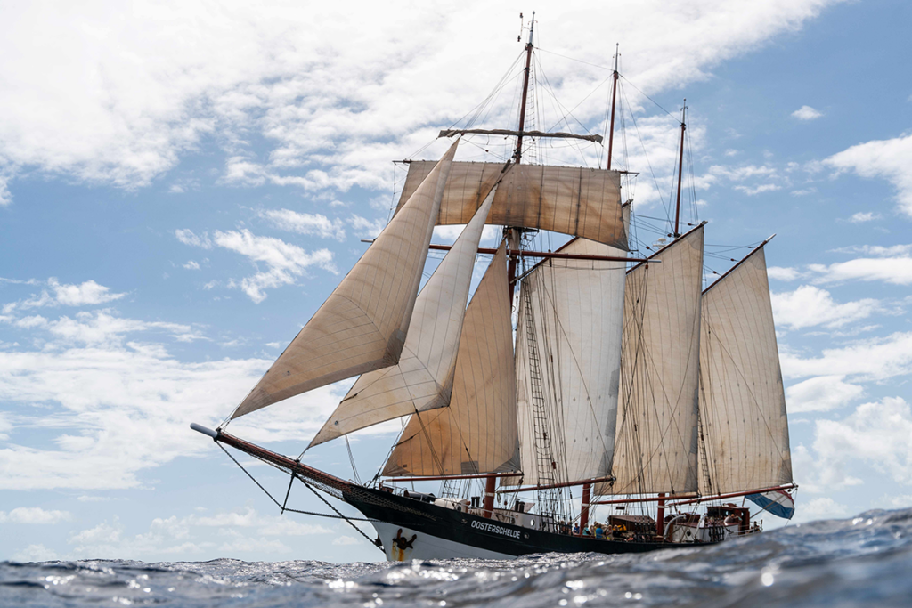 DARWIN200 Voyage One Year On - All At Sea